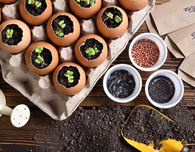 GARDEN STORE - All Seasons Garden Center